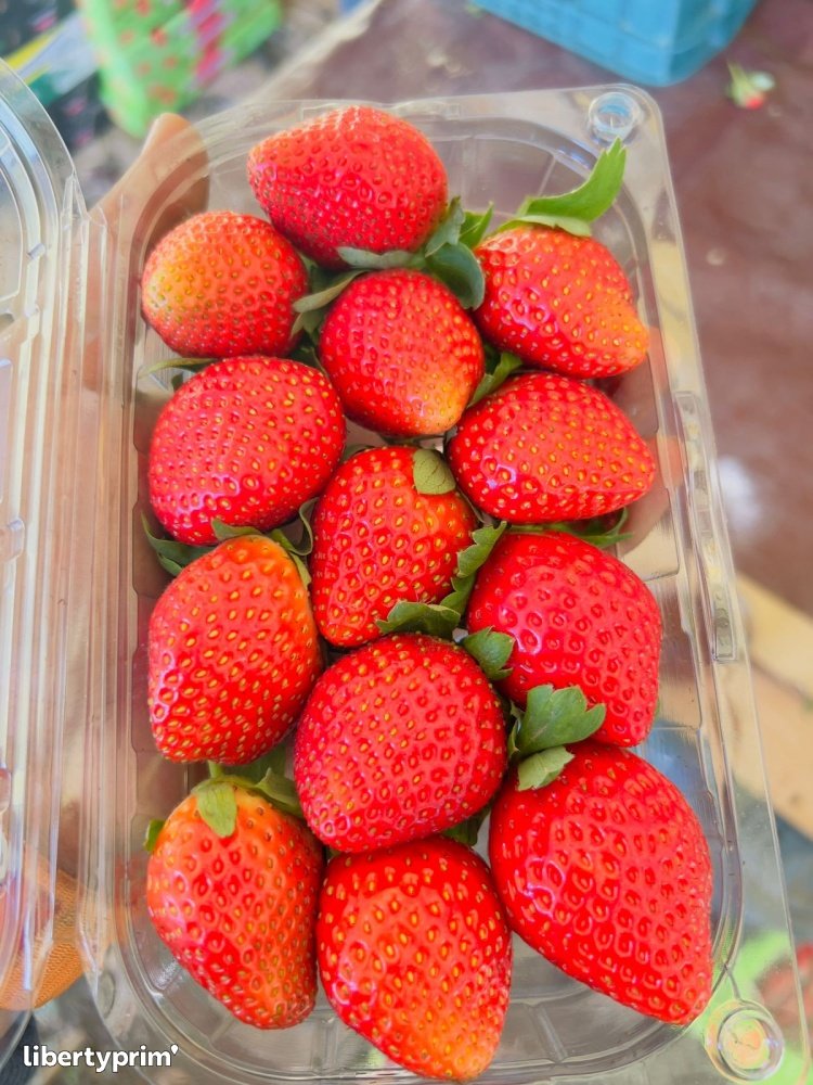 Strawberry Class 1 Egypt Import & Export - importfromegypt.eu | Libertyprim