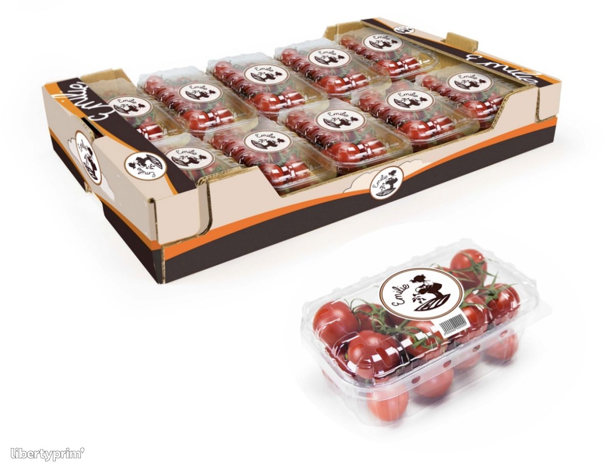 Tomato Cocktail Class 1 France Shipper & Distributor - KOLLA FRANCE ...