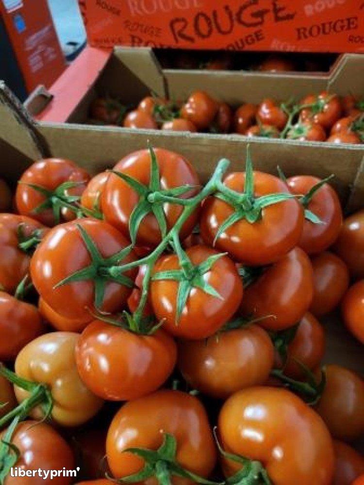 Tomate Grappe Extra Francia Expedidor & Distribuidor - Lombard ...
