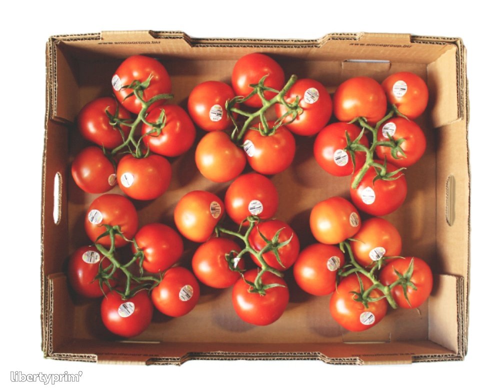 Tomate Canada Producteur - AMCO PRODUCE | Libertyprim