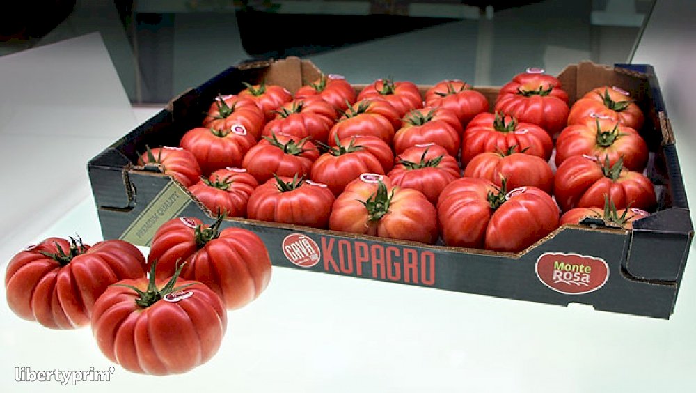 Tomato Monterosa Extra Spain Producer - GAVÀ GRUP | Libertyprim