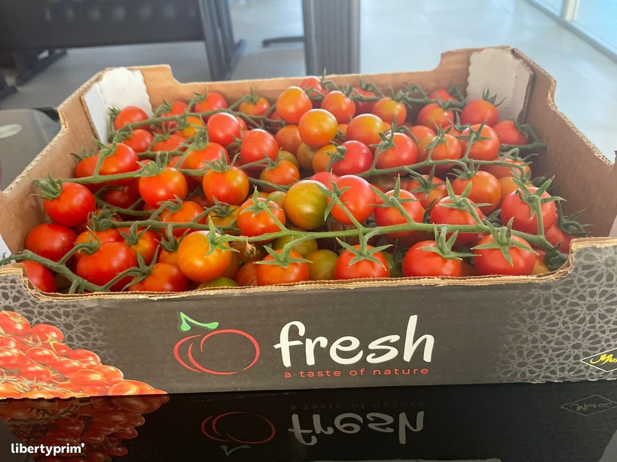 Tomate Cerise Catégorie 1 Maroc Producteur - O FRESH | Libertyprim