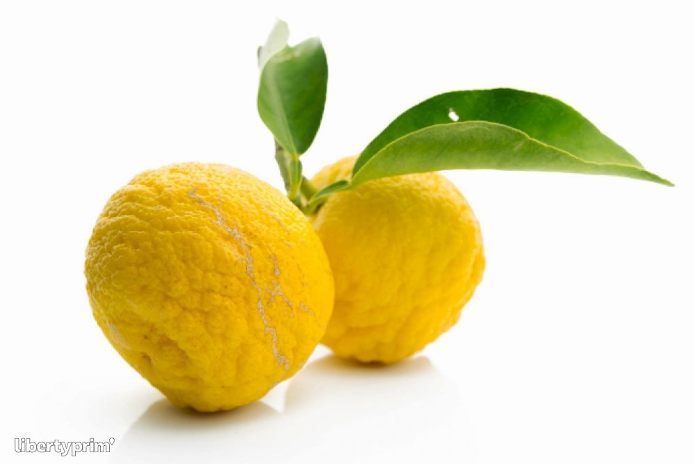 Yuzu Japan Import & Export - AMS EUROPEAN | Libertyprim
