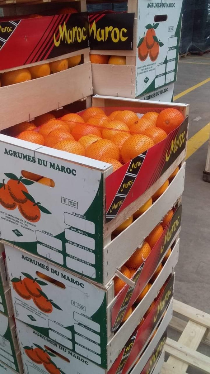 AGADIR FRECH FRUT Import & Export Agadir Morocco | Libertyprim