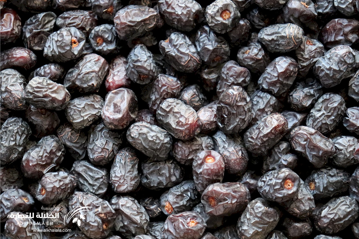 Al-Khalala Trd. Est. Import & Export Yanbu Arabie Saoudite | Libertyprim