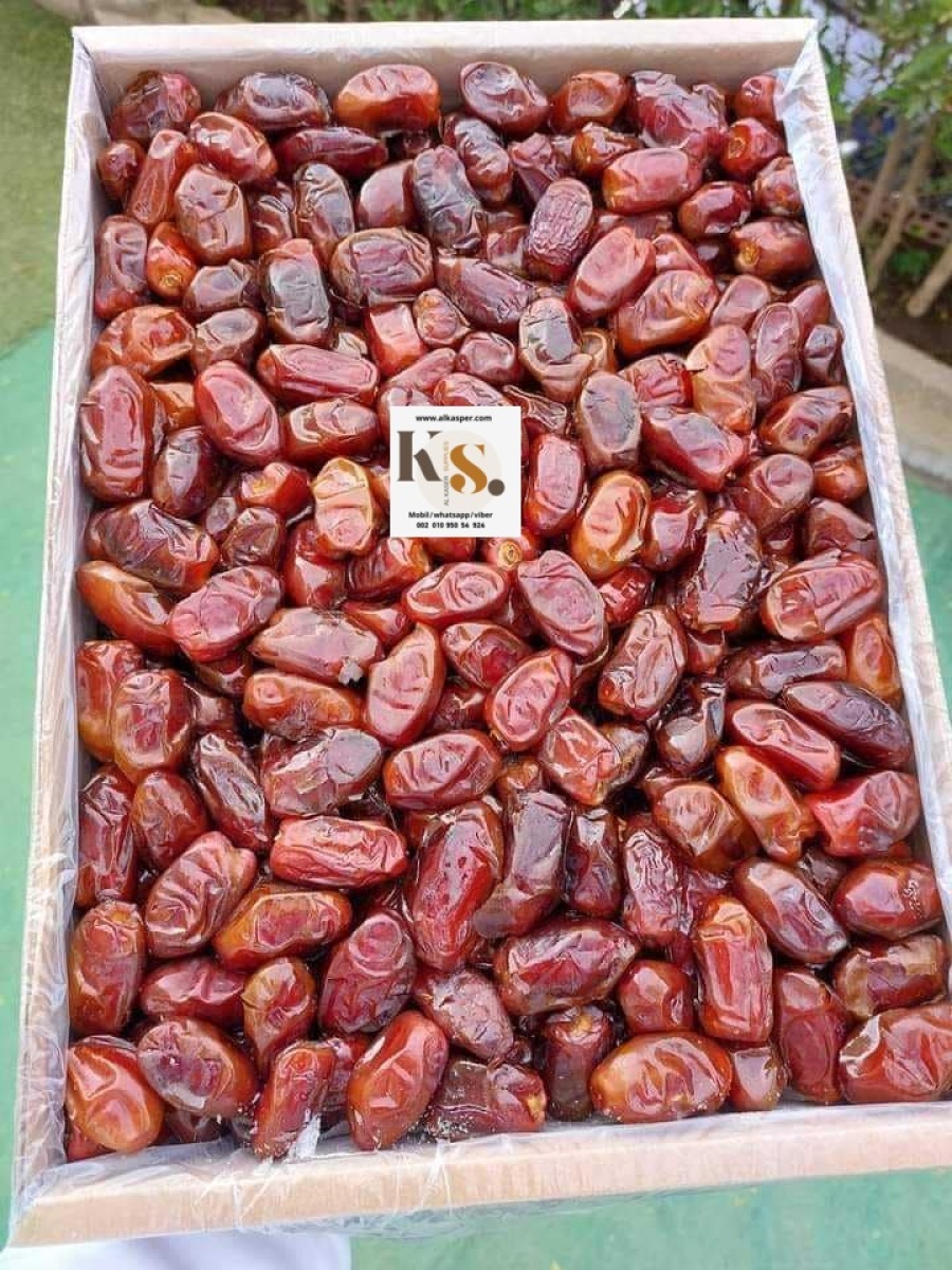 alkasper for supplies Import & Export Cairo, Egypt Egypt | Libertyprim