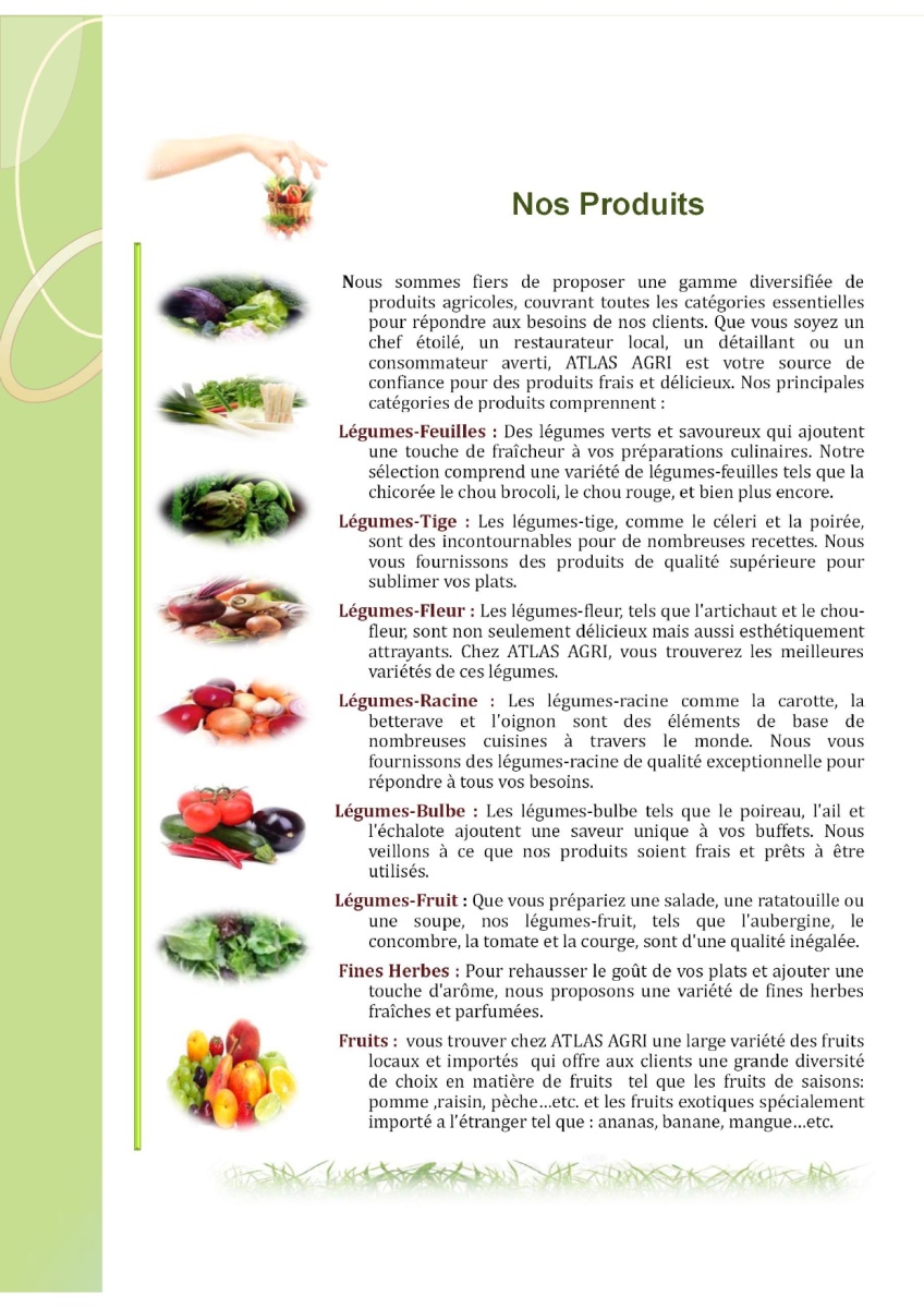 Atlas Agri Marrakech Shipper & Distributor Marrakech Morocco | Libertyprim