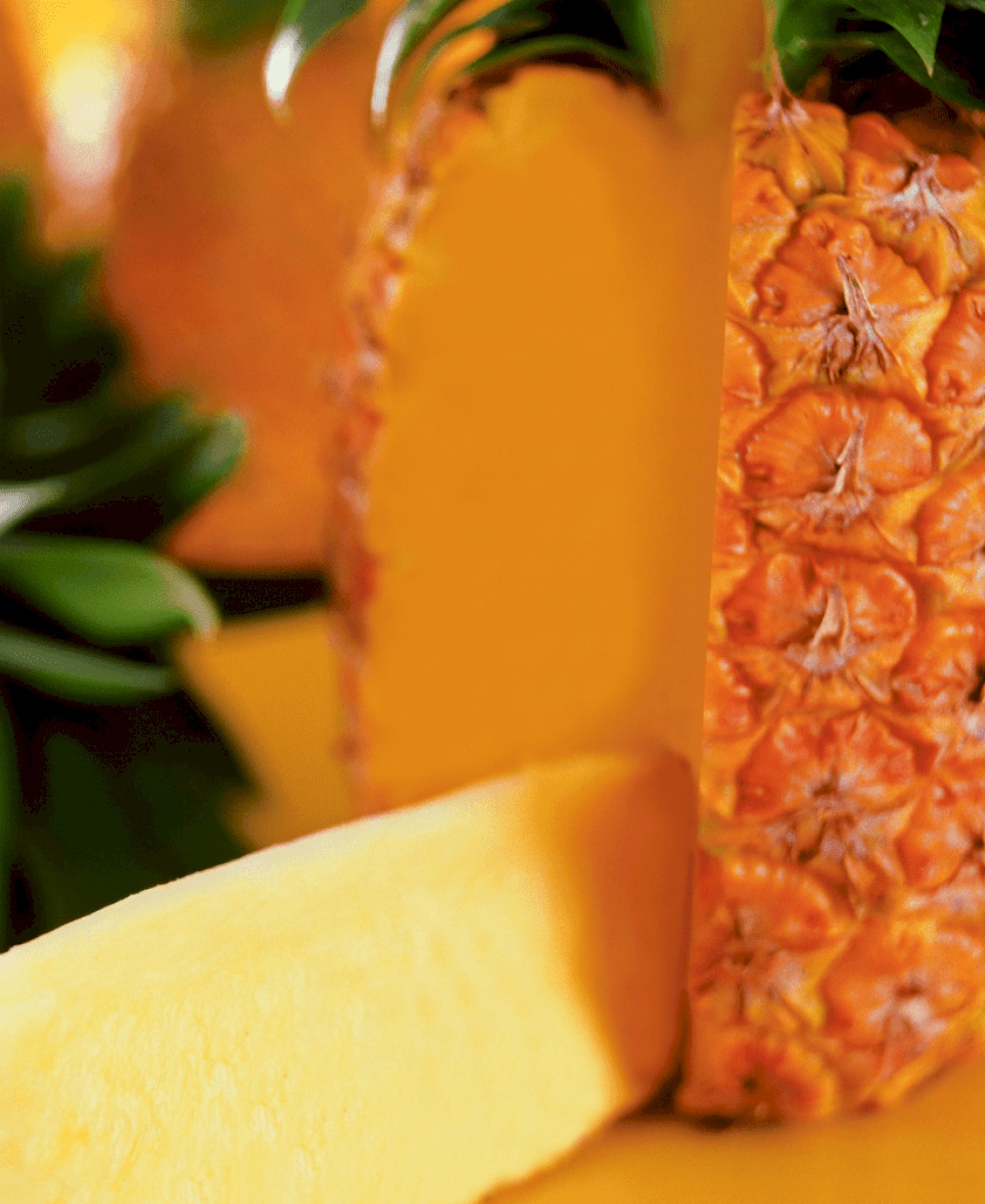 BANACOL COSTA RICA Import & Export Envigado Colombia | Libertyprim