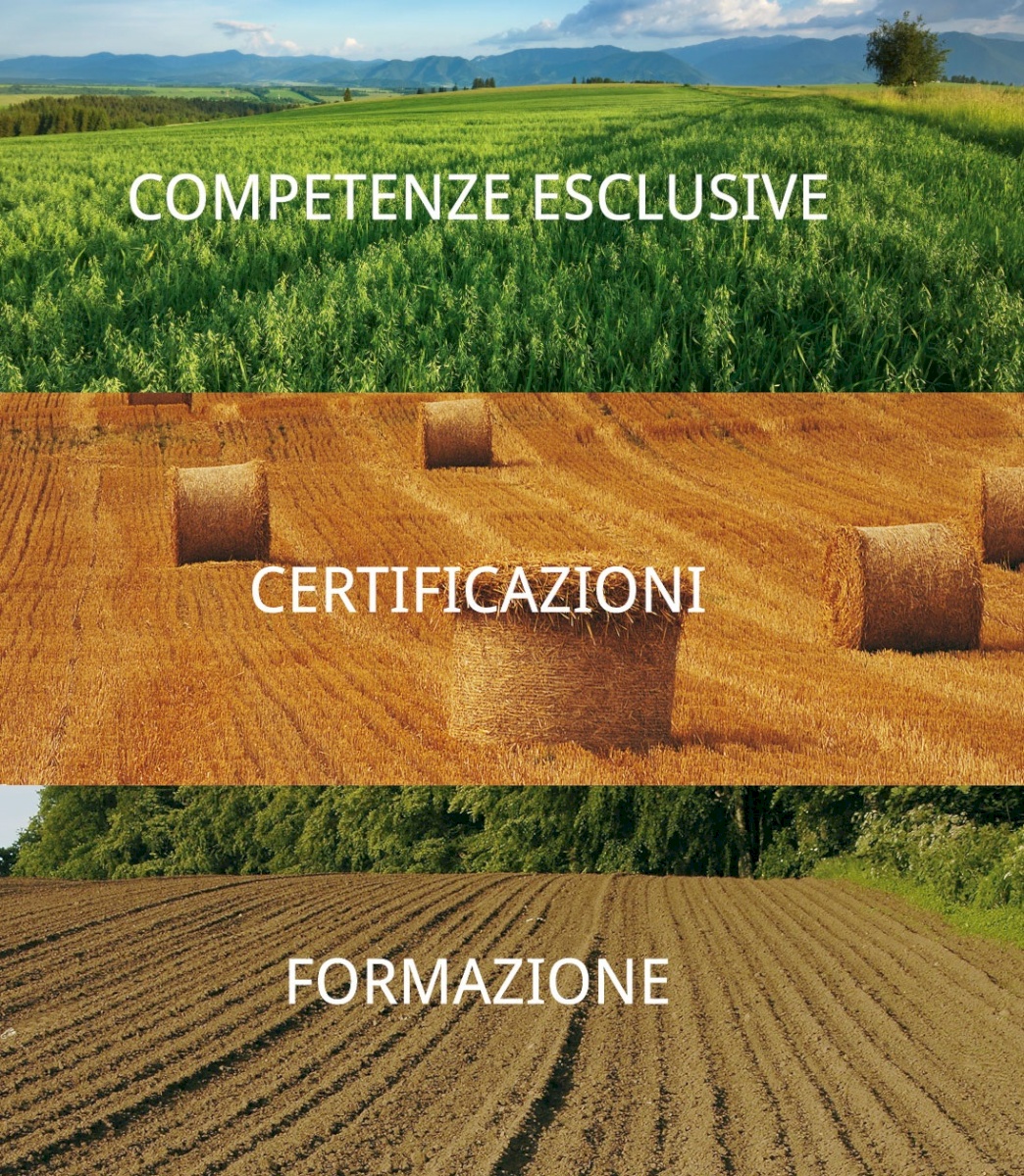 CHECK FRUIT Organisme Professionnel Bologna Italie | Libertyprim