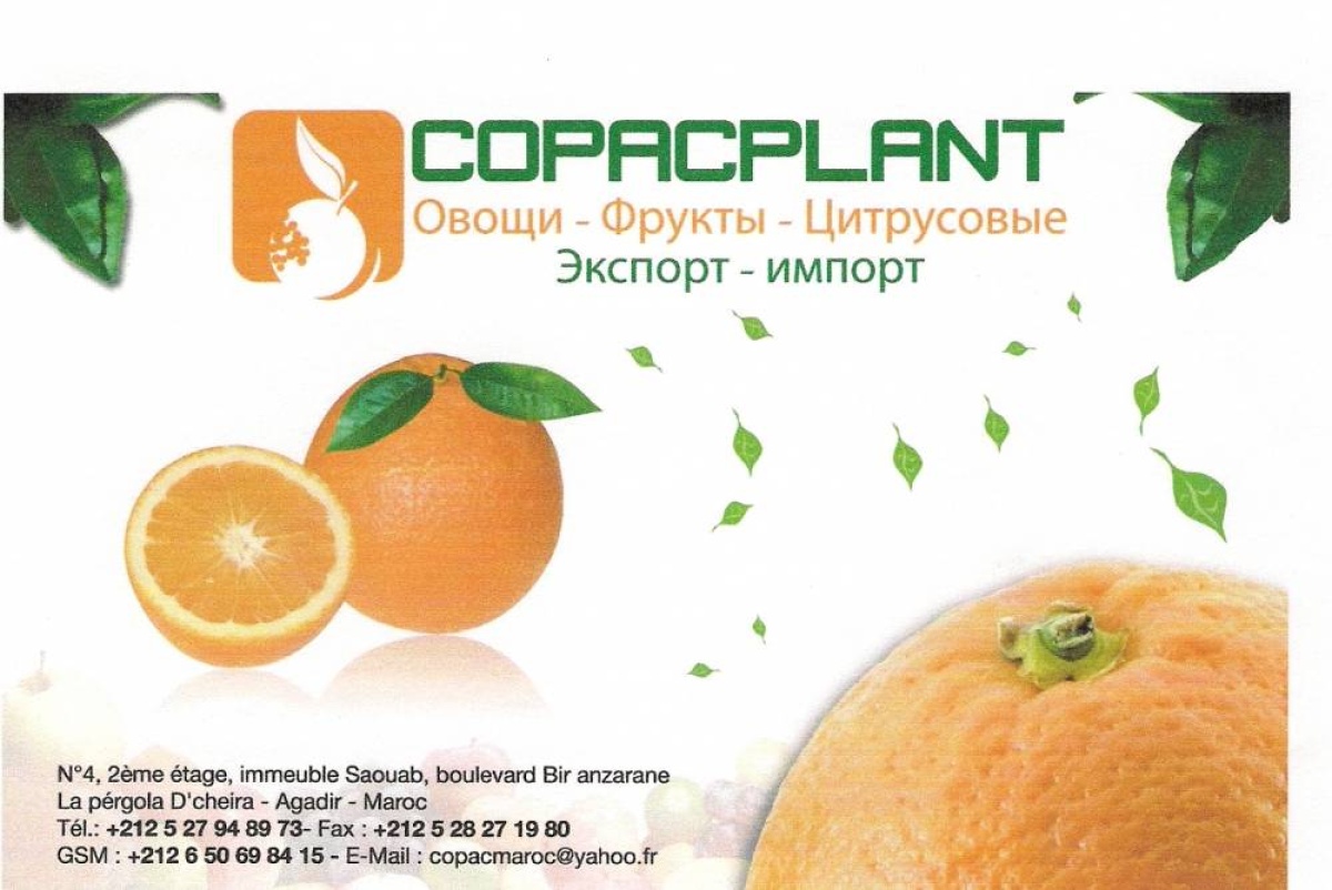 copac plant Import & Export AGADIR Morocco | Libertyprim