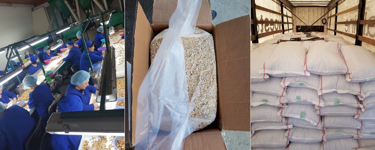 EURONUT Producteur Zugdidi Géorgie | Libertyprim