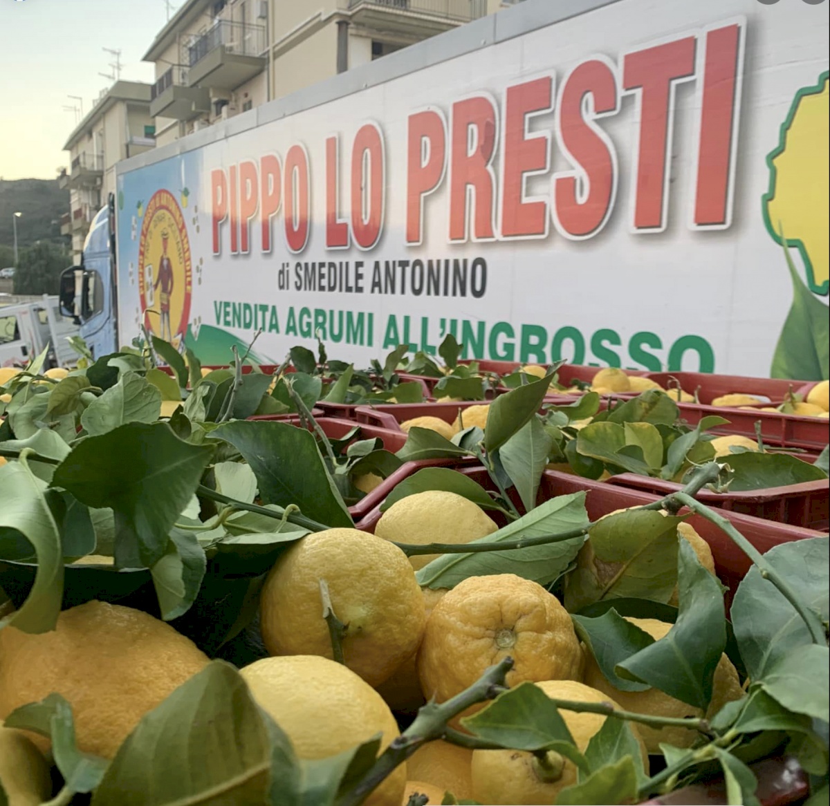 Export agrumi Lo Presti Productor Messina Italia | Libertyprim