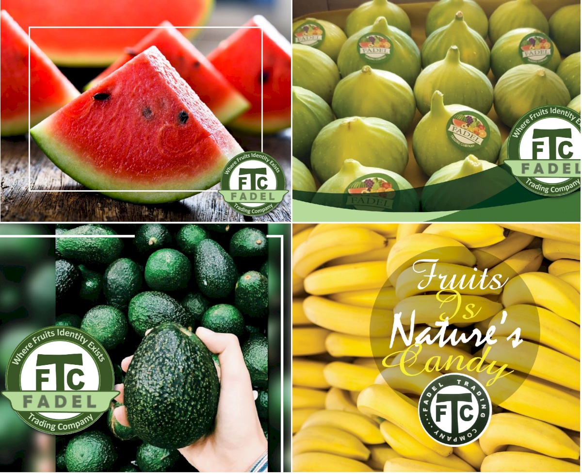 FADEL TRADING COMPANY Producer Beyrouth Lebanon | Libertyprim