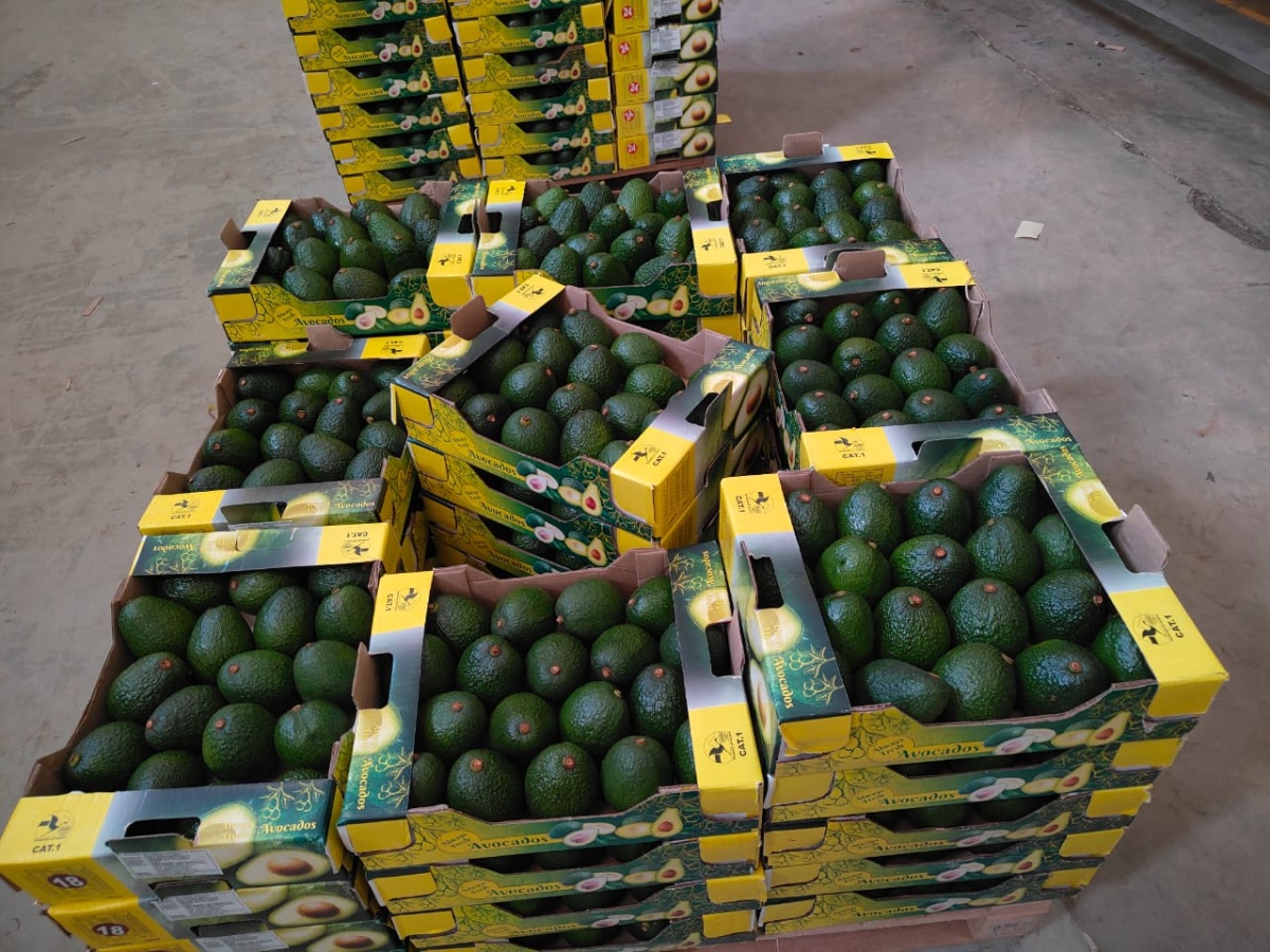 Kodra-Export Import & Export Le Haillan France | Libertyprim