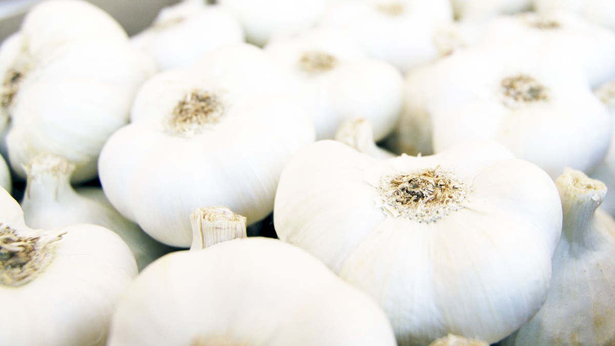 LES AULX DU SUD OUEST Expedidor & Distribuidor Cadours Francia ...