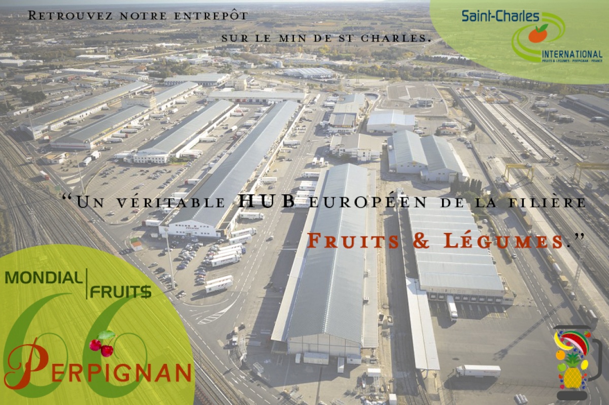 MONDIAL FRUITS 66 Importación & Exportación Perpignan Francia | Libertyprim
