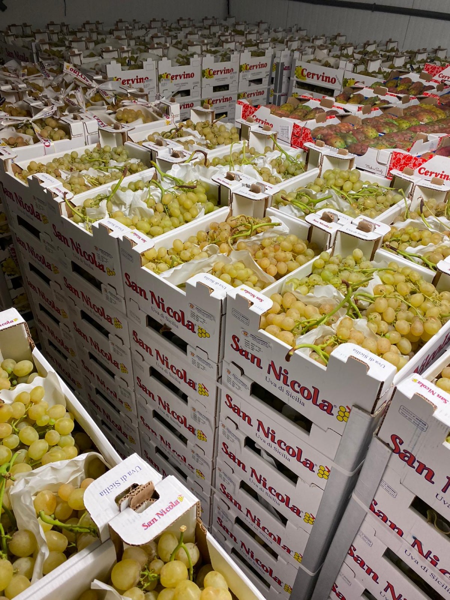 NOVAZUR PRIMEURS Shipper & Distributor Noves France | Libertyprim