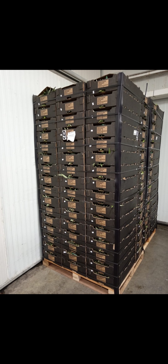 Sas H&C import export Import & Export Paris France | Libertyprim