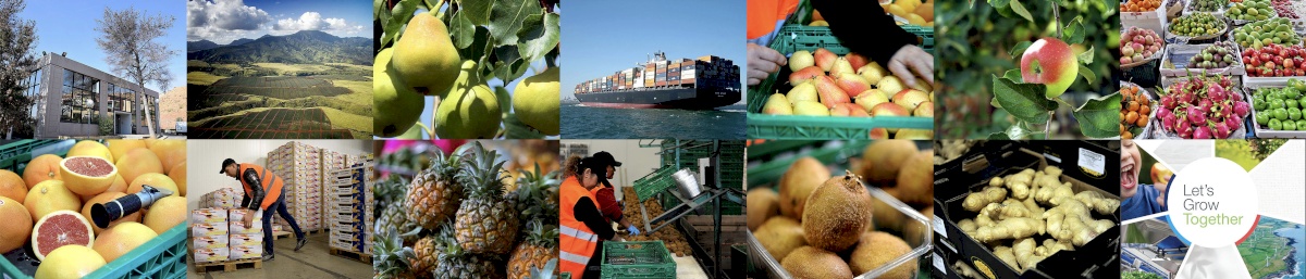 TOTAL PRODUCE INDIGO Import & Export VITROLLES France | Libertyprim
