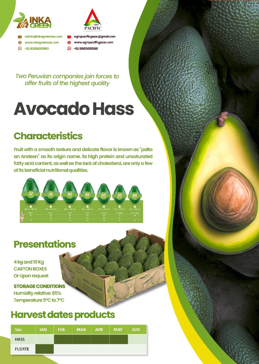 Agro Pacific Global Services SAC Producer Chincha Alta Peru | Libertyprim