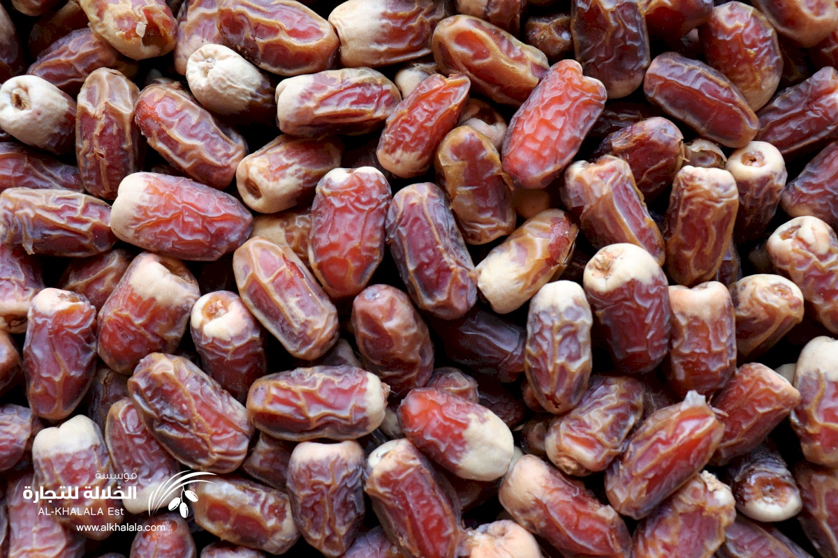 Al-Khalala Trd. Est. Import & Export Yanbu Saudi Arabia | Libertyprim