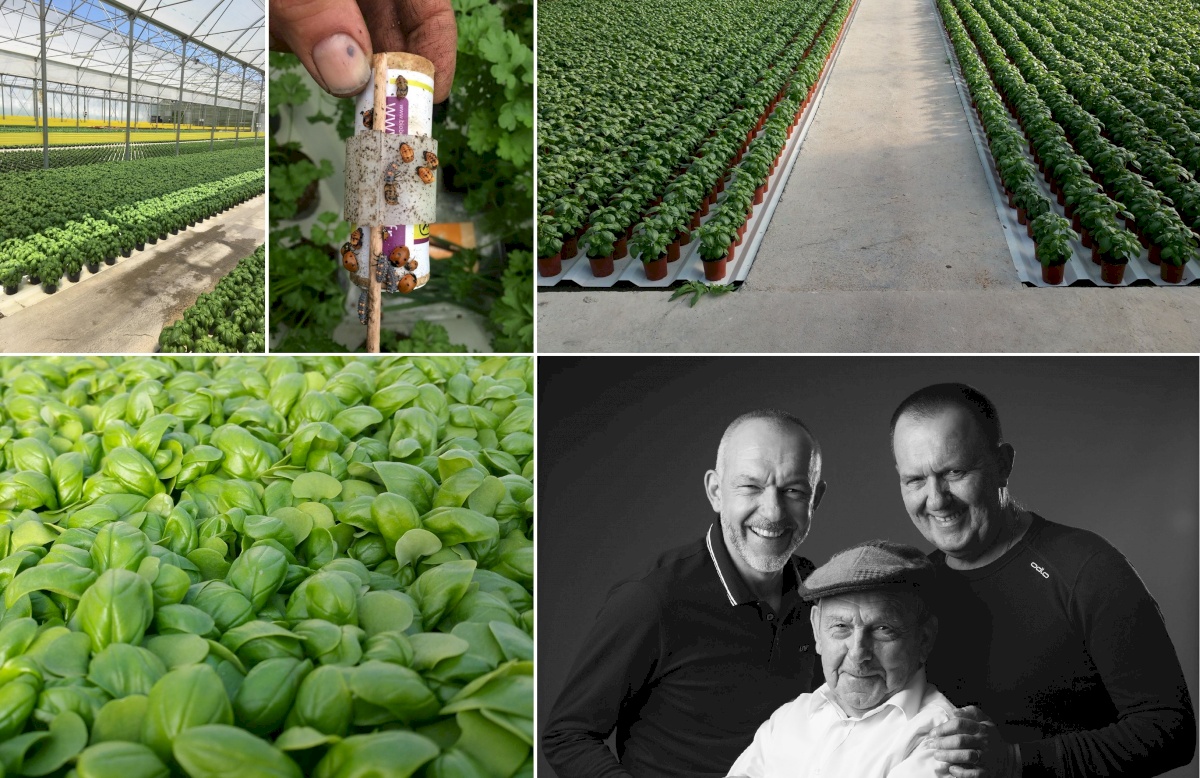 ALPILLES PRIMEURS Producteur Saint-Rémy-de-Provence France | Libertyprim