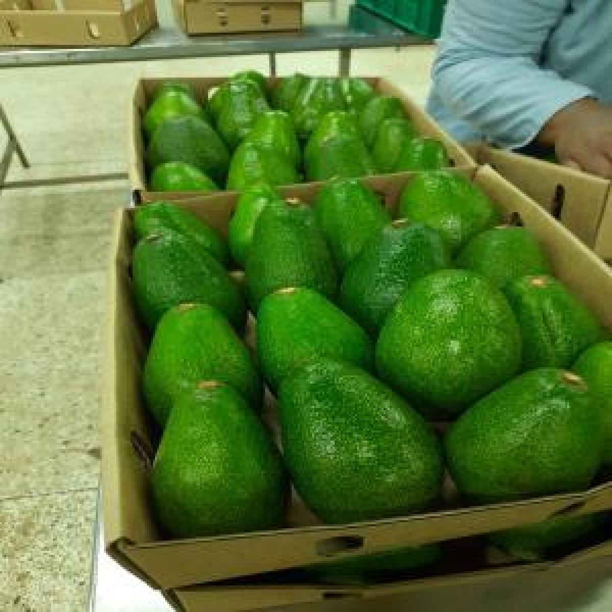 Bômani Wholesaler Abidjan Ivory Coast | Libertyprim