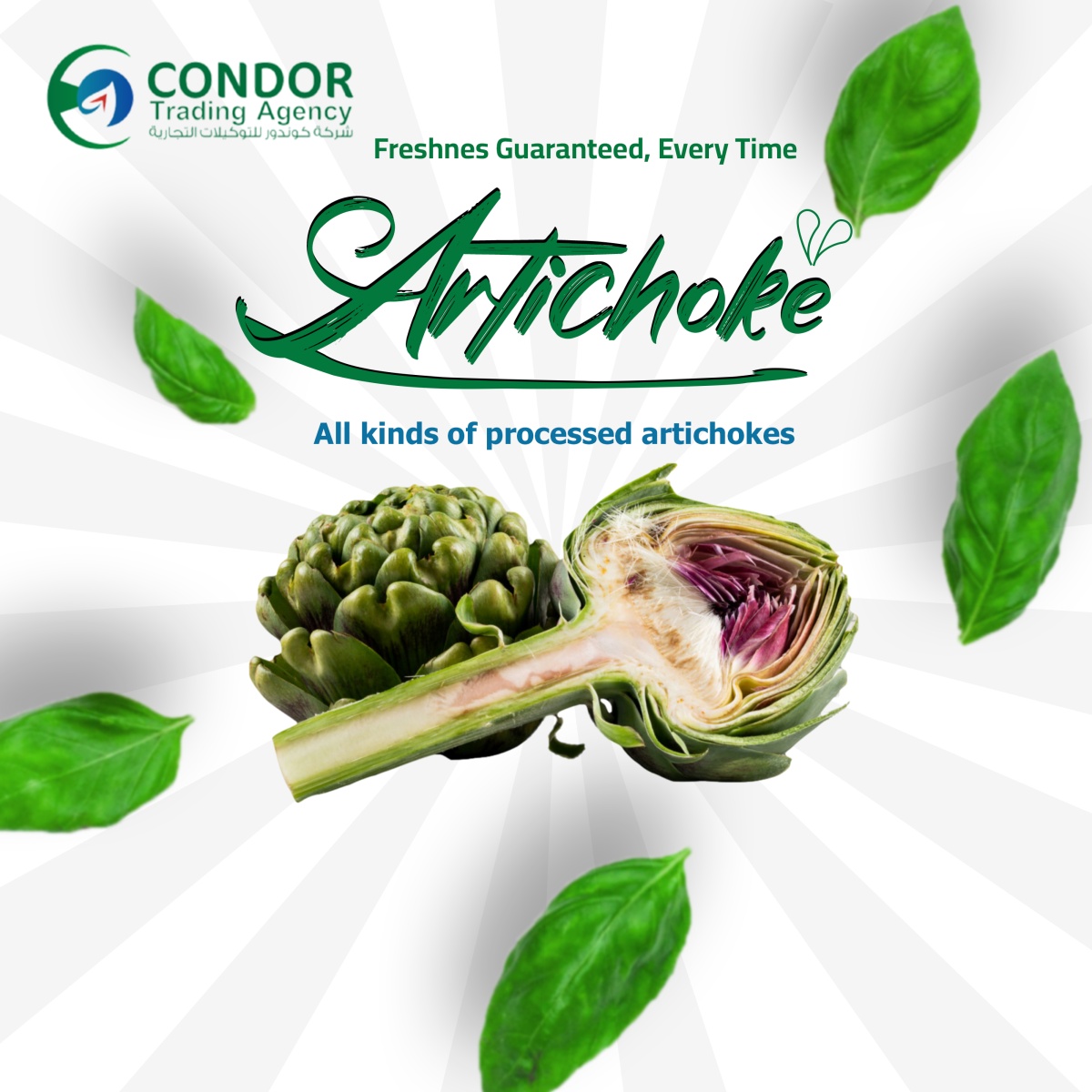 CONDOR TRADING AGENCY Import & Export Cairo Egypt | Libertyprim