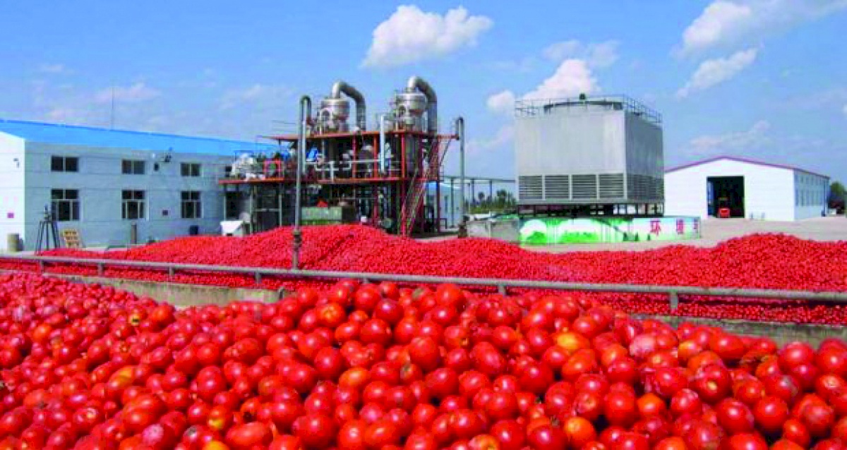 EURL HOURIA EXPORTATION Import & Export ALGER Algérie | Libertyprim