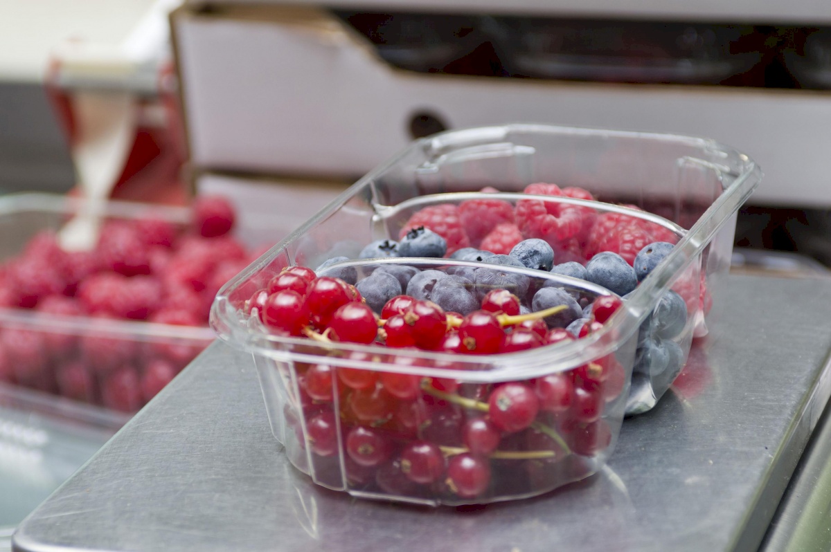 FRUITS ROUGES DU PERIGORD Producteur Capdrot France | Libertyprim