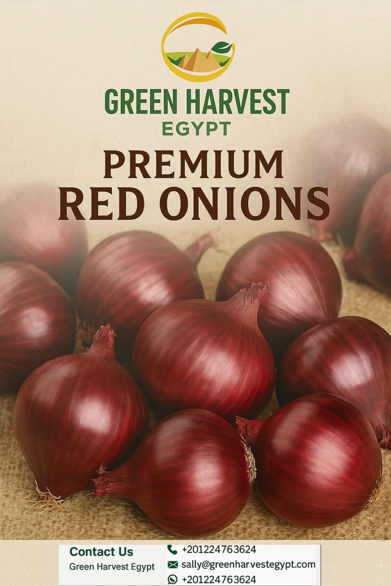 Green Harvest Egypt for Import & Export Import & Export Tanta Egypt | Libertyprim