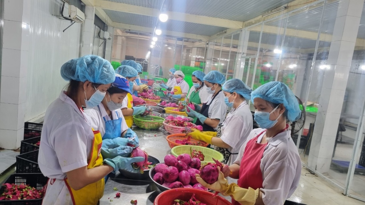 HOA CUONG GROUP Productor HCMC Vietnam | Libertyprim