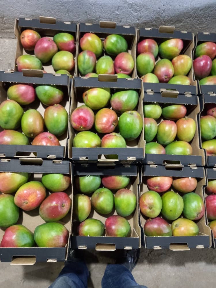 Kelefa International Importación & Exportación Marseille Francia ...