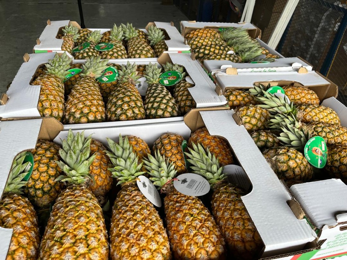 Kodra-Export Import & Export Le Haillan France | Libertyprim