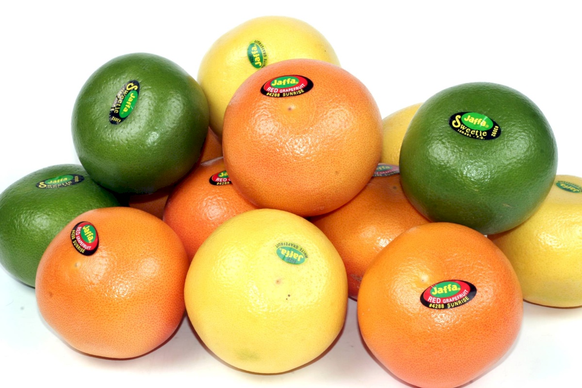 Mehadrin Tnuport Export Import & Export Be'erot Ytzhak Israel | Libertyprim