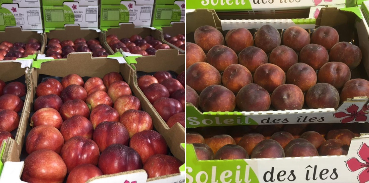 NOVAZUR PRIMEURS Shipper & Distributor Noves France | Libertyprim