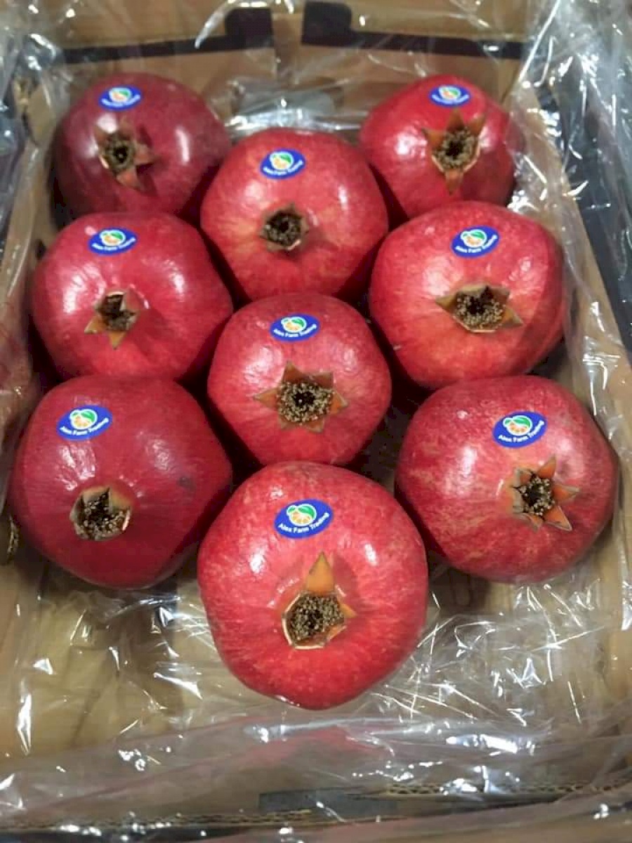 YK International FZE Import & Export Sharjah United Arab Emirates ...