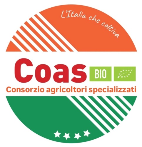Watermelon Italy Producer - COAS Produttori associati - S.C.A..L ...