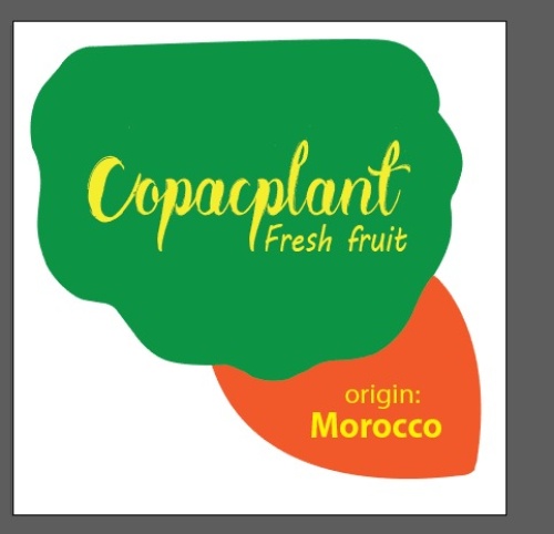 copac plant Import & Export AGADIR Morocco | Libertyprim