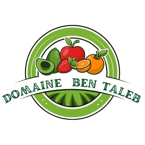DOMAINE BEN TALEB Import & Export Agadir Maroc | Libertyprim