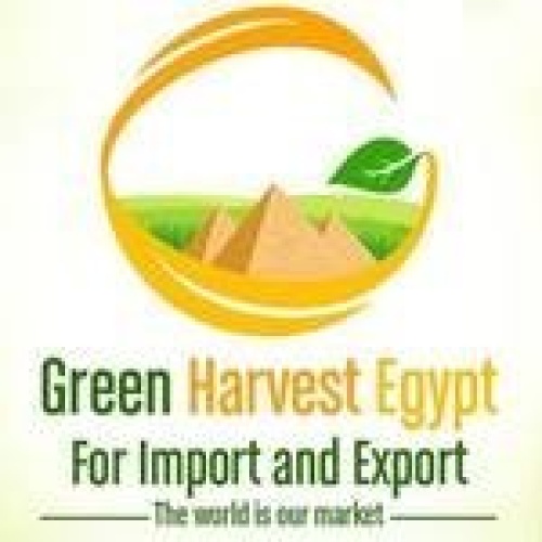 Green Harvest Egypt for Import & Export Import & Export Tanta Egypt ...