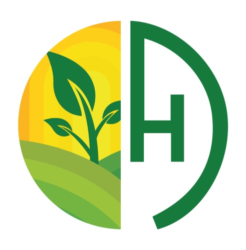 Harvest Hub Import & Export Nasr City Egypt | Libertyprim