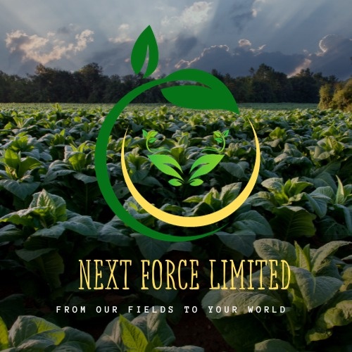 Next Force Ltd Importación & Exportación Nairobi Kenia | Libertyprim