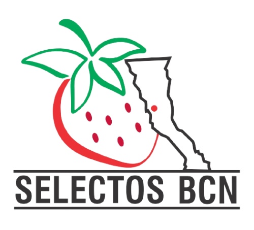 Selectos BCN Wholesaler SAN QUINTIN Mexico | Libertyprim